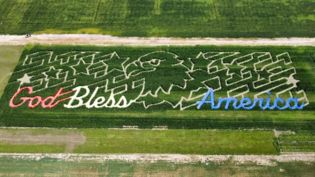 Southern Indiana's Best Pumpkin Patches, Corn Mazes & Orchards ...